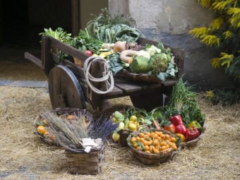 Elizabethan Era Supper Common Food Items